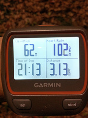 gear Garmin Forerunner 310XT DogsorCaravan